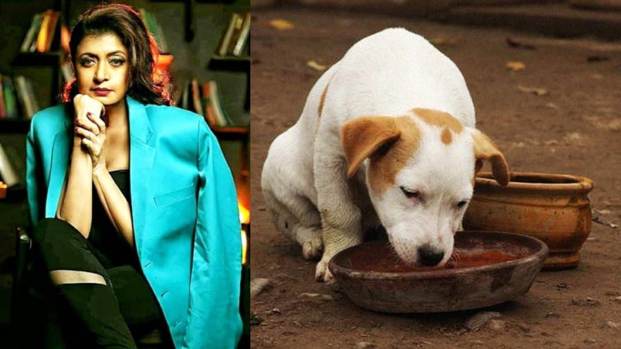 Debashree Roy: আবাসনে ঘুরতে পারবে না পোষ্যরা! প্রতিবাদ করতেই বিতর্কে ...